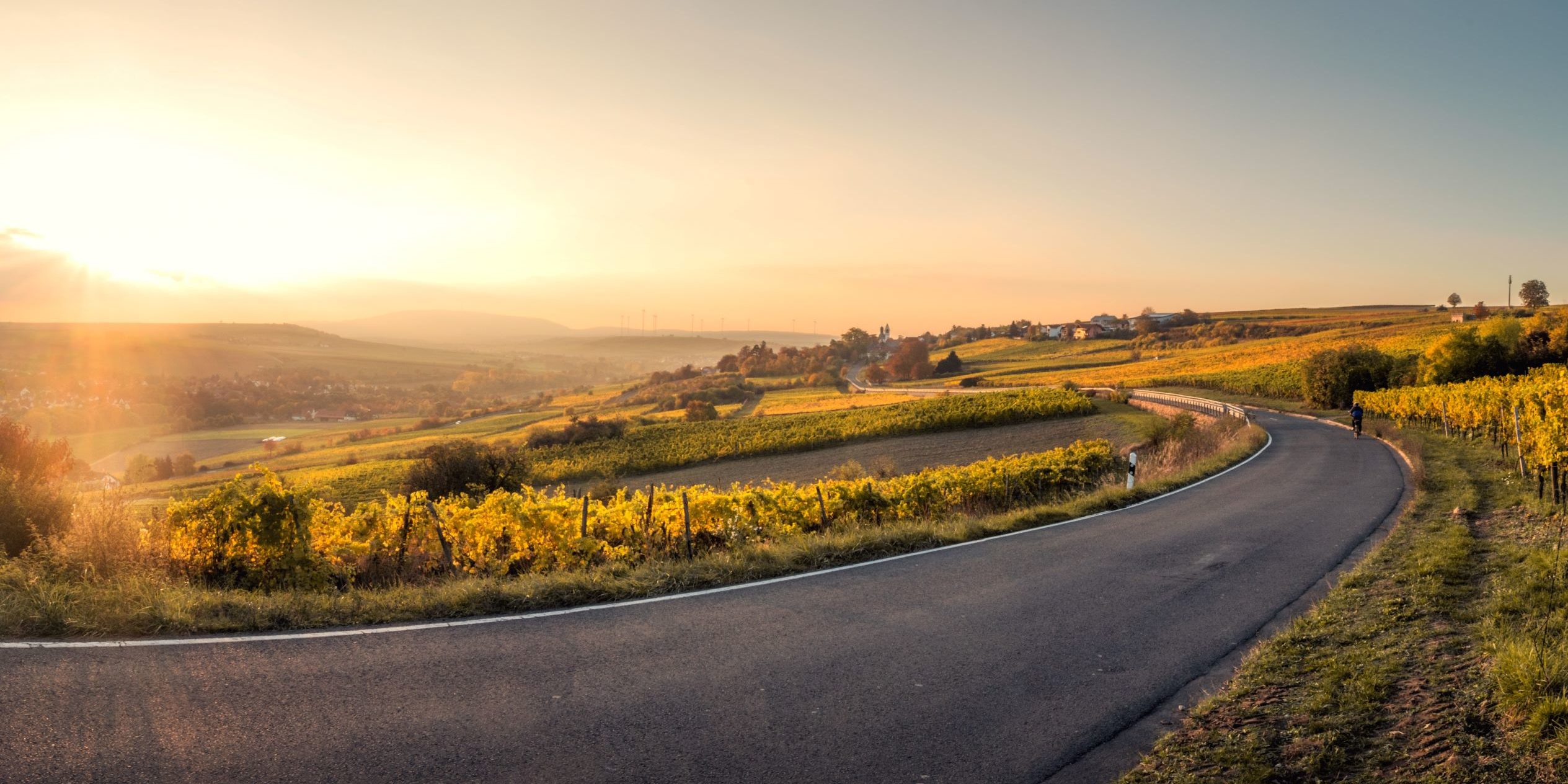 Your Education Road Map - Gabbitas